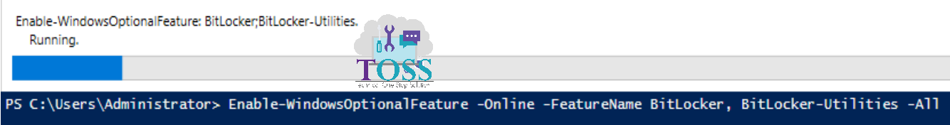 Bitlocker Powershell Module Installtion Cmdlet Toss