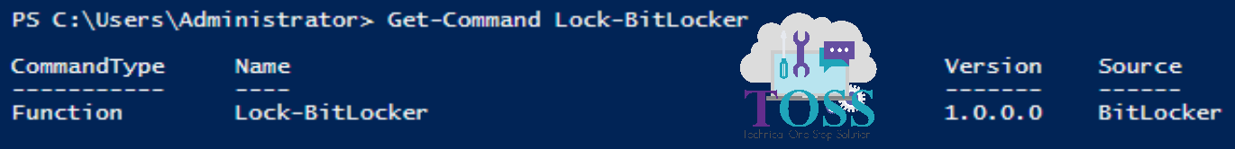 Lock Bitlocker Powershell Cmdlet Script Command Toss