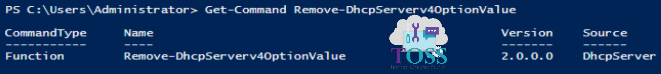 Remove-DhcpServerv4OptionValue PowerShell - TOSS