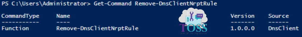 Remove Dnsclientnrptrule Powershell Cmdlets Toss