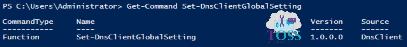 Set Dnsclientglobalsetting Powershell Cmdlets Toss