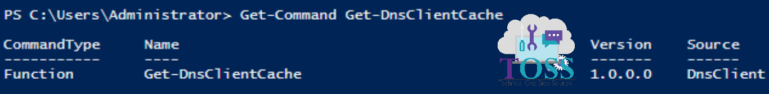Get-DnsClientCache PowerShell Cmdlets - TOSS