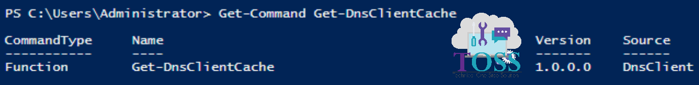 Get-DnsClientCache PowerShell Cmdlets - TOSS