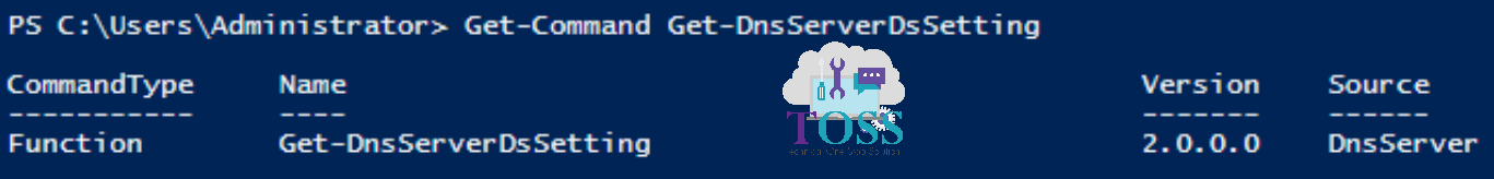 Get Dnsserverdssetting Powershell Cmdlets Toss 