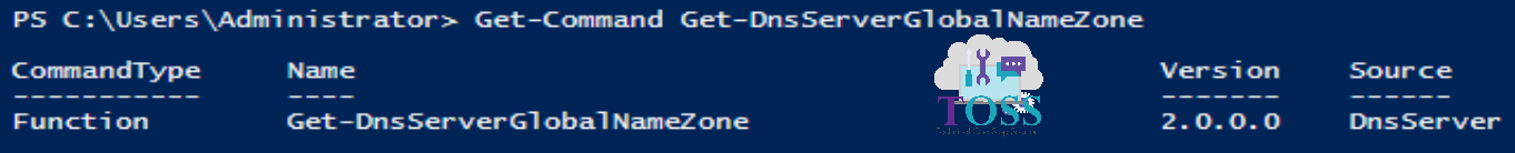 Get Dnsserverglobalnamezone Powershell Cmdlets Toss