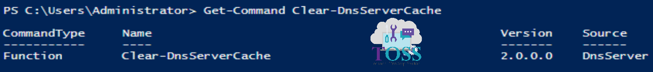 Clear-DnsServerCache PowerShell Cmdlets - TOSS