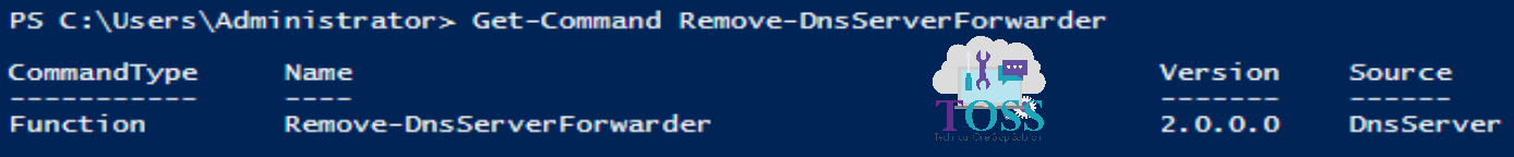 Remove Dnsserverforwarder Powershell Cmdlet Toss
