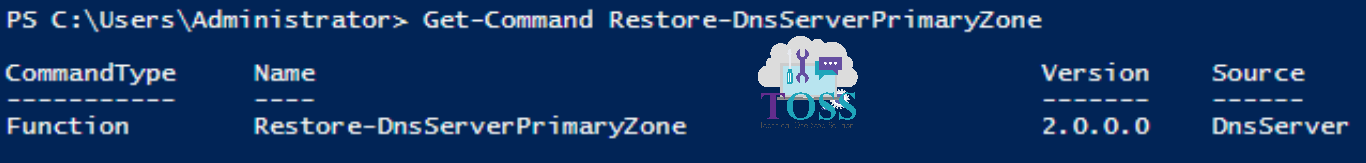 Restore-DnsServerPrimaryZone PowerShell Cmdlets - TOSS