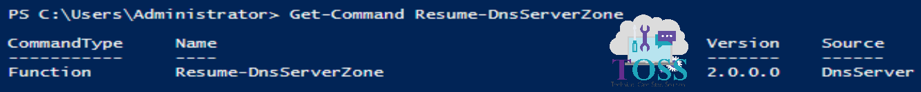 Resume-DnsServerZone PowerShell Cmdlets - TOSS